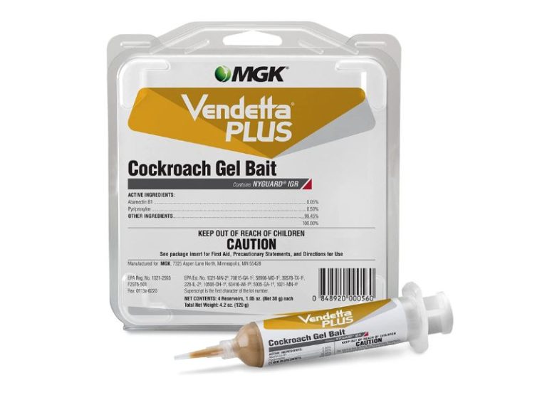 ابرة الصراصير ، افضل 10 انواع من ابرة الصراصير 2023 - أكنان