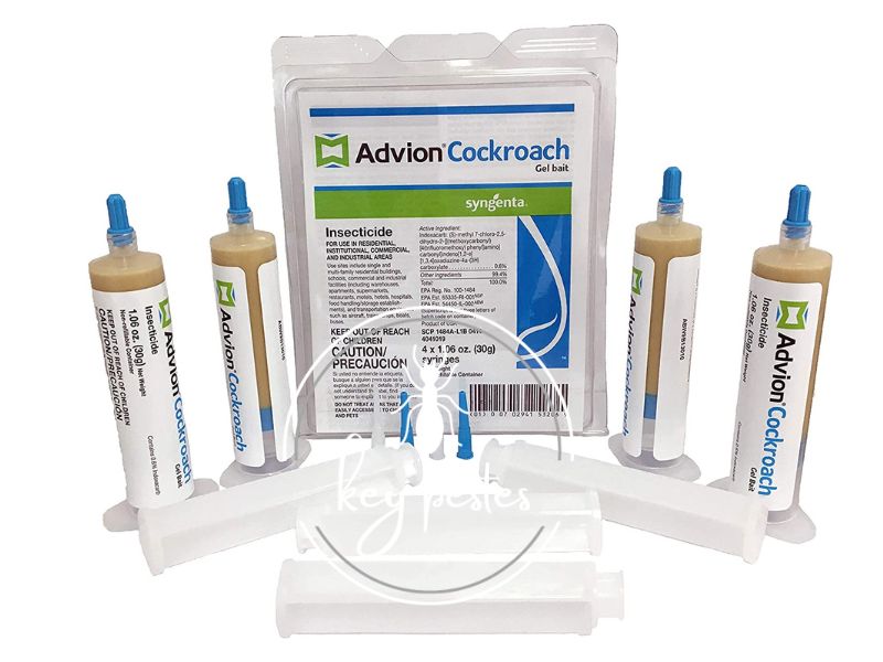 ابرة الصراصير ، افضل 10 انواع من ابرة الصراصير 2023 - أكنان