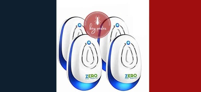 طارد الصراصير ـ افضل 10 أجهزة ومبيدات طاردة للصراصير - أكنان