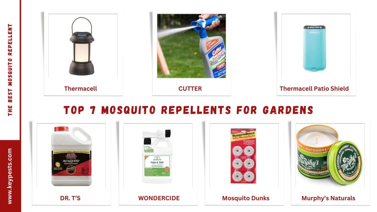 The best mosquito repellent : more than 25 types