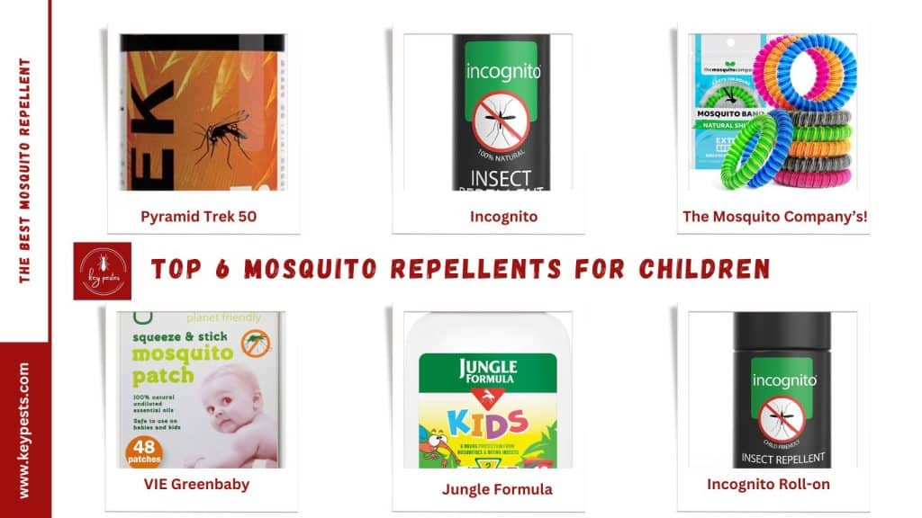 The best mosquito repellent : more than 25 types