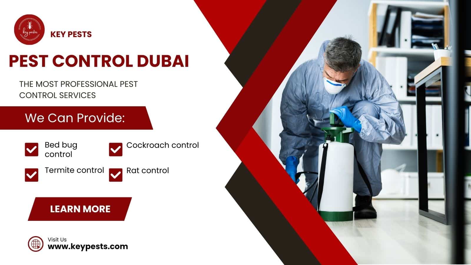 Pest Control Dubai Your Smartest Choice Key Pests