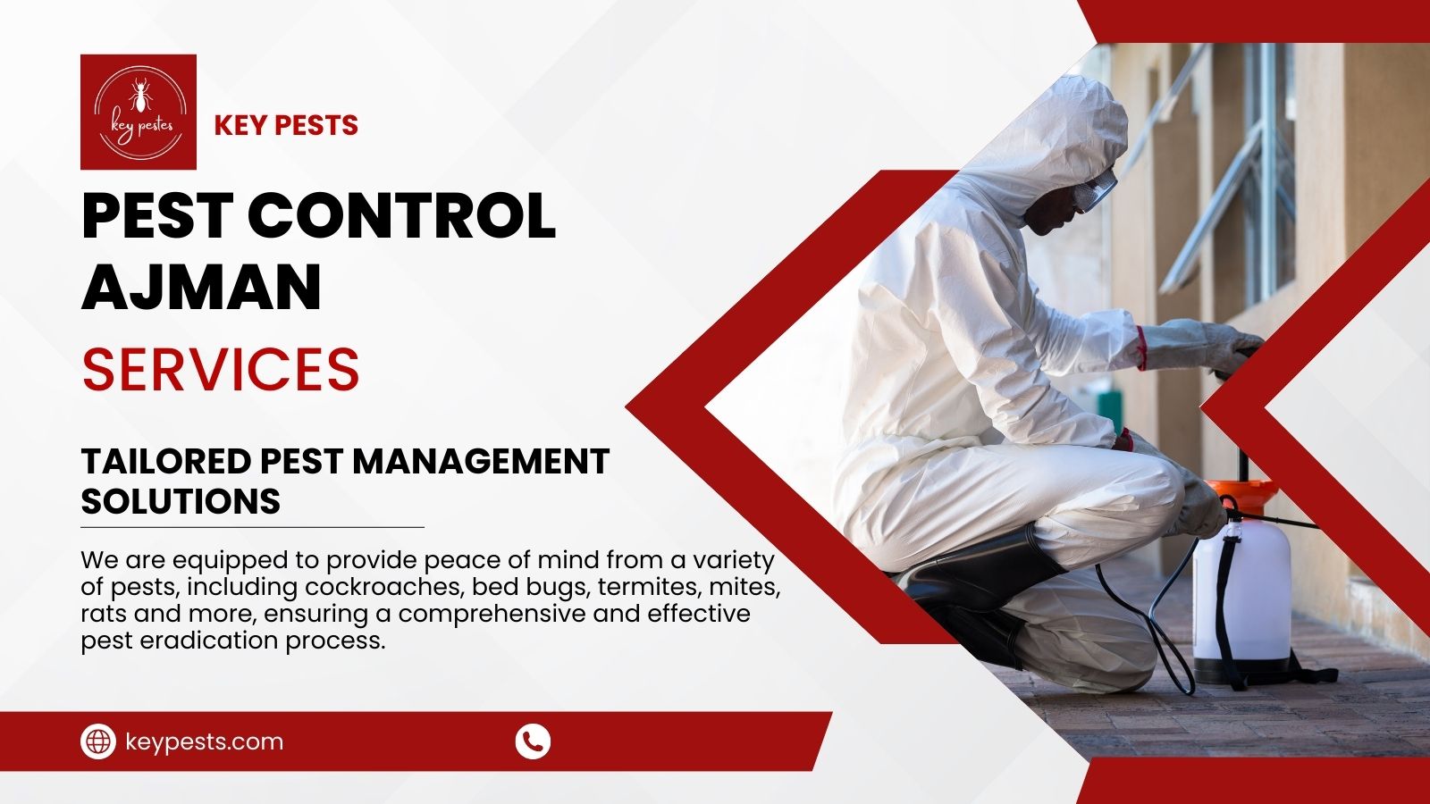 best pest control ajman - Key Pests